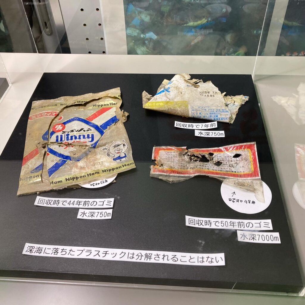 JAMSTEC横須賀本部 一般公開 その2 - キュリオラボ